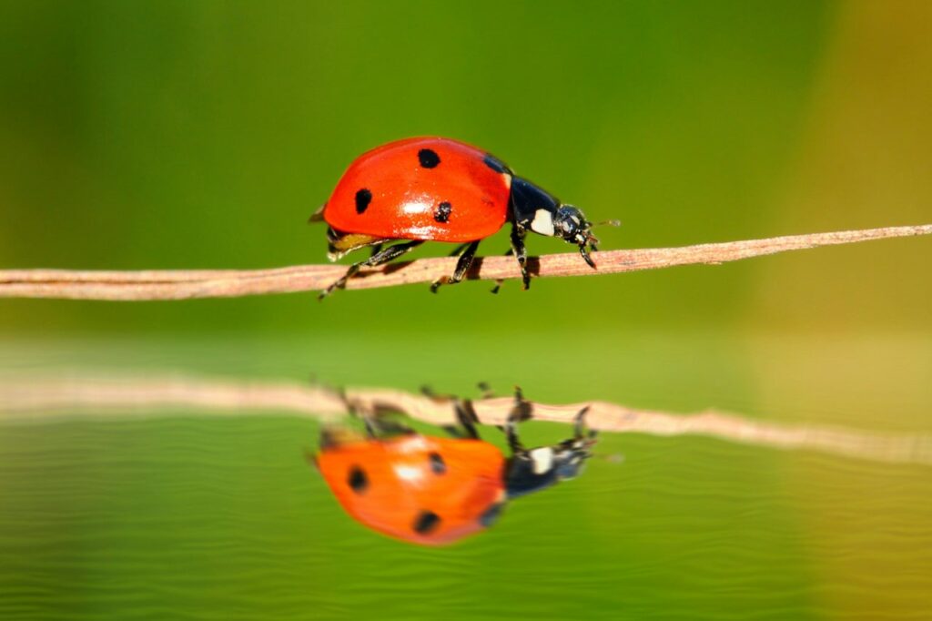 dasselbe oder das selbe? Wie ist es richtig? - Arbeiten im Sekretariat