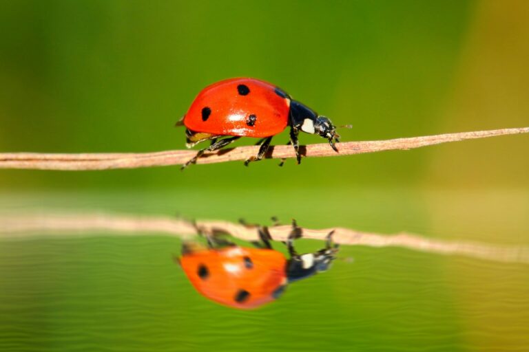 dasselbe oder das selbe? Wie ist es richtig? - Arbeiten im Sekretariat